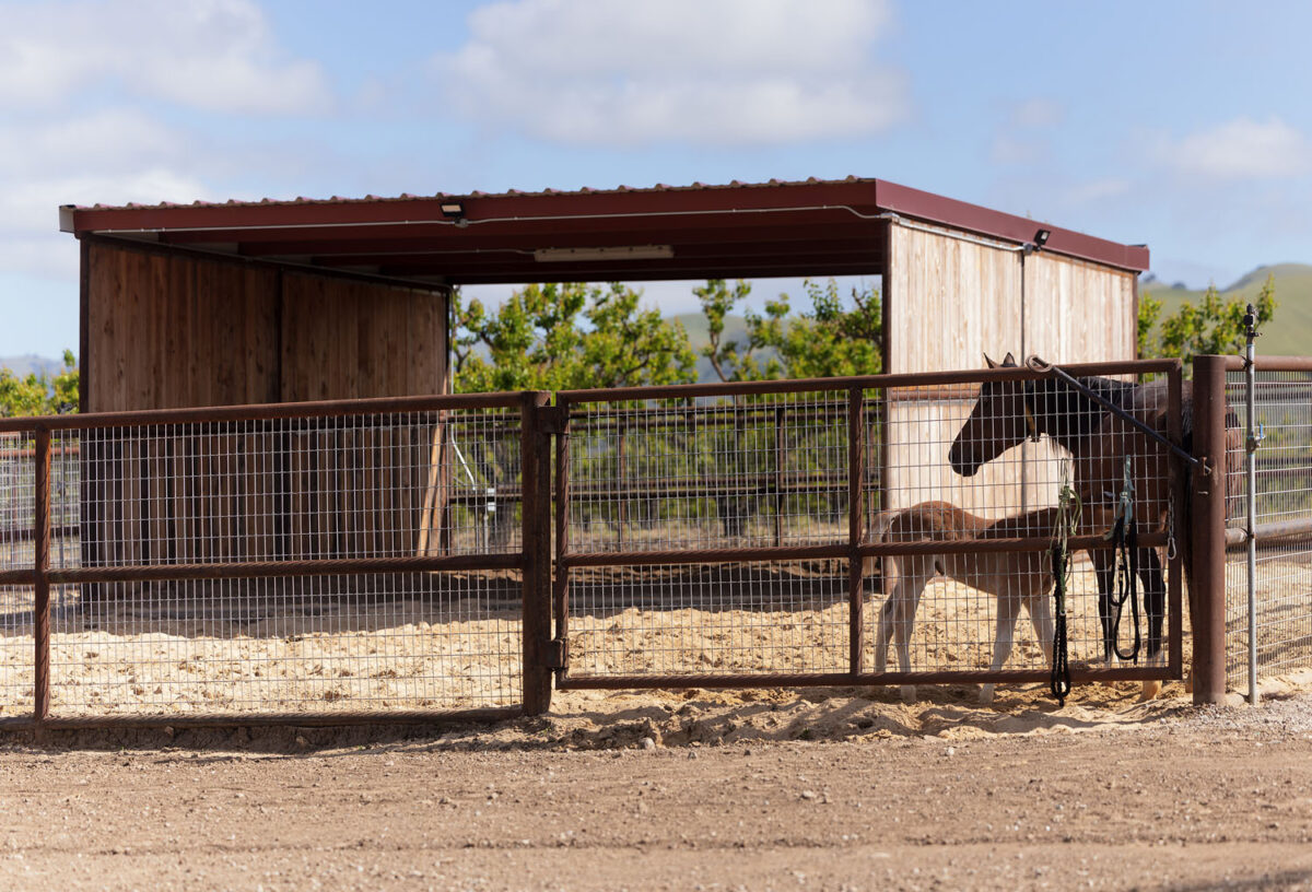 Breeding Facility - Red Arrow Ranch