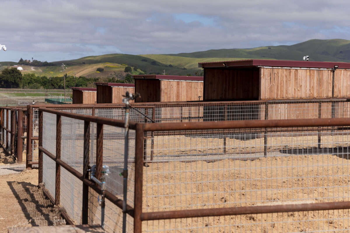 Breeding Facility - Red Arrow Ranch
