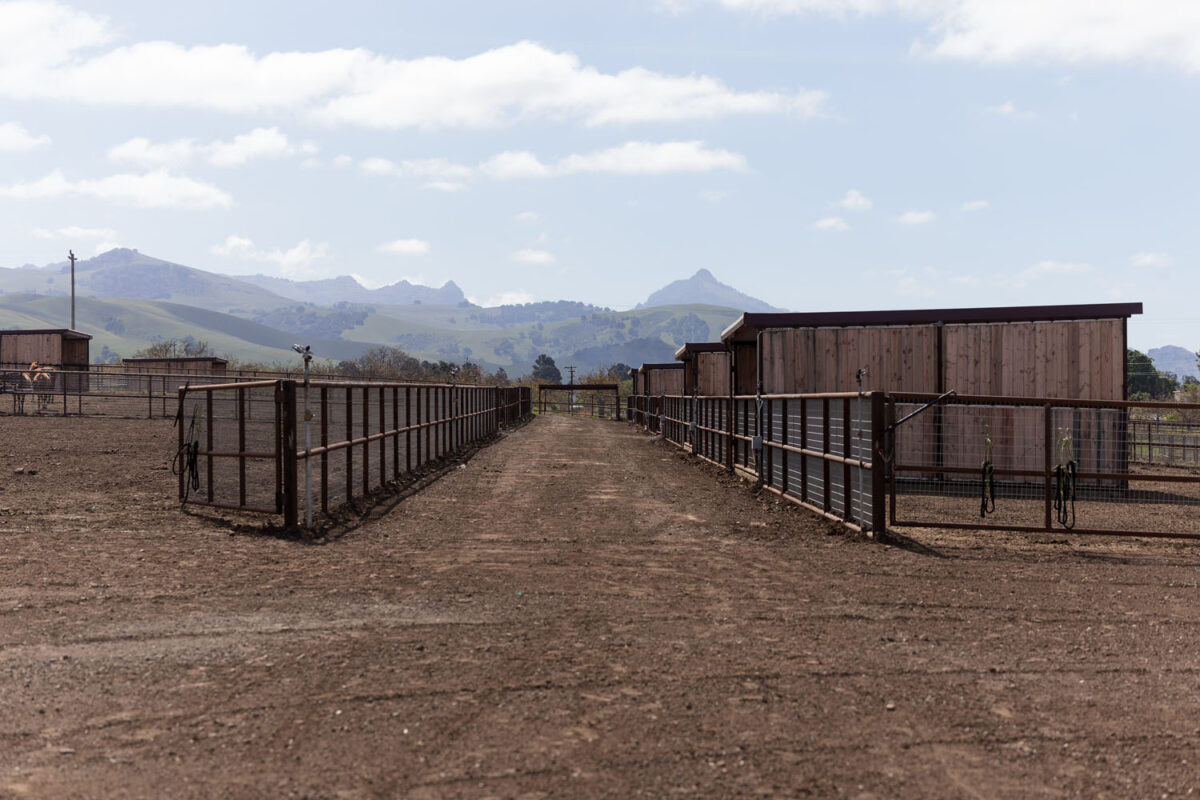 Breeding Facility - Red Arrow Ranch