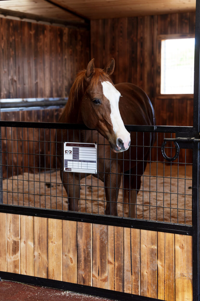 Breeding Facility - Red Arrow Ranch