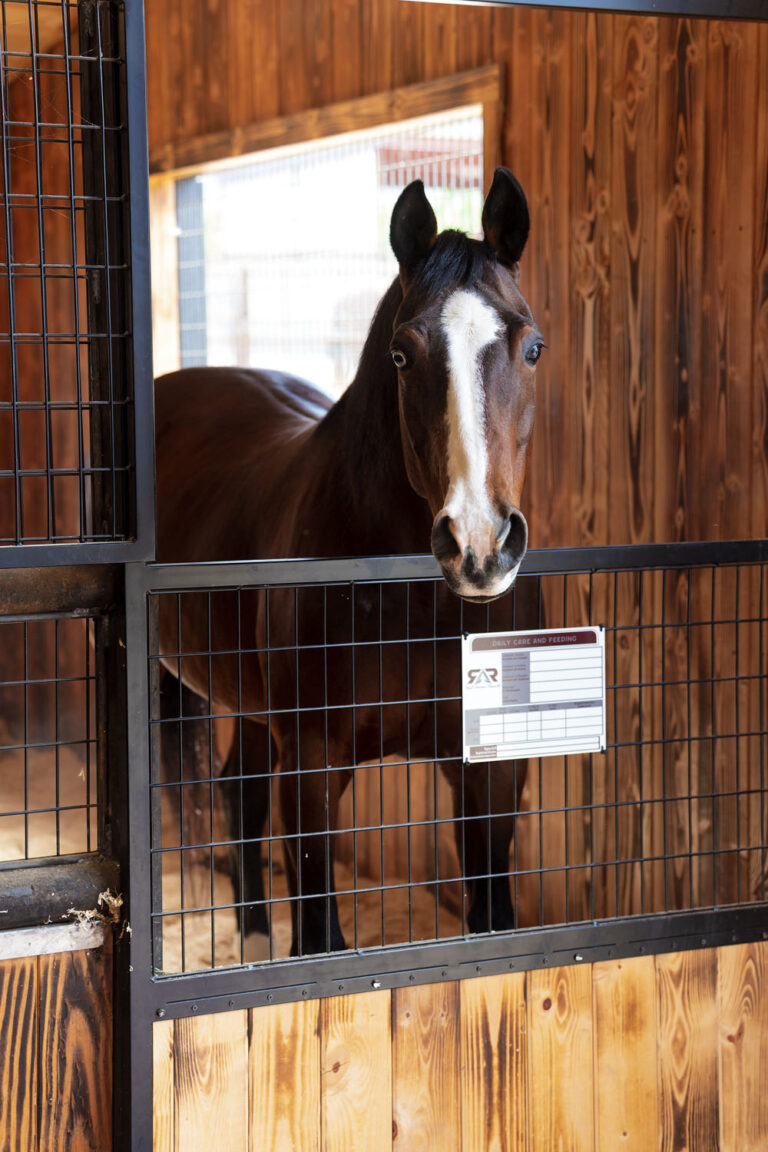 Breeding Facility - Red Arrow Ranch