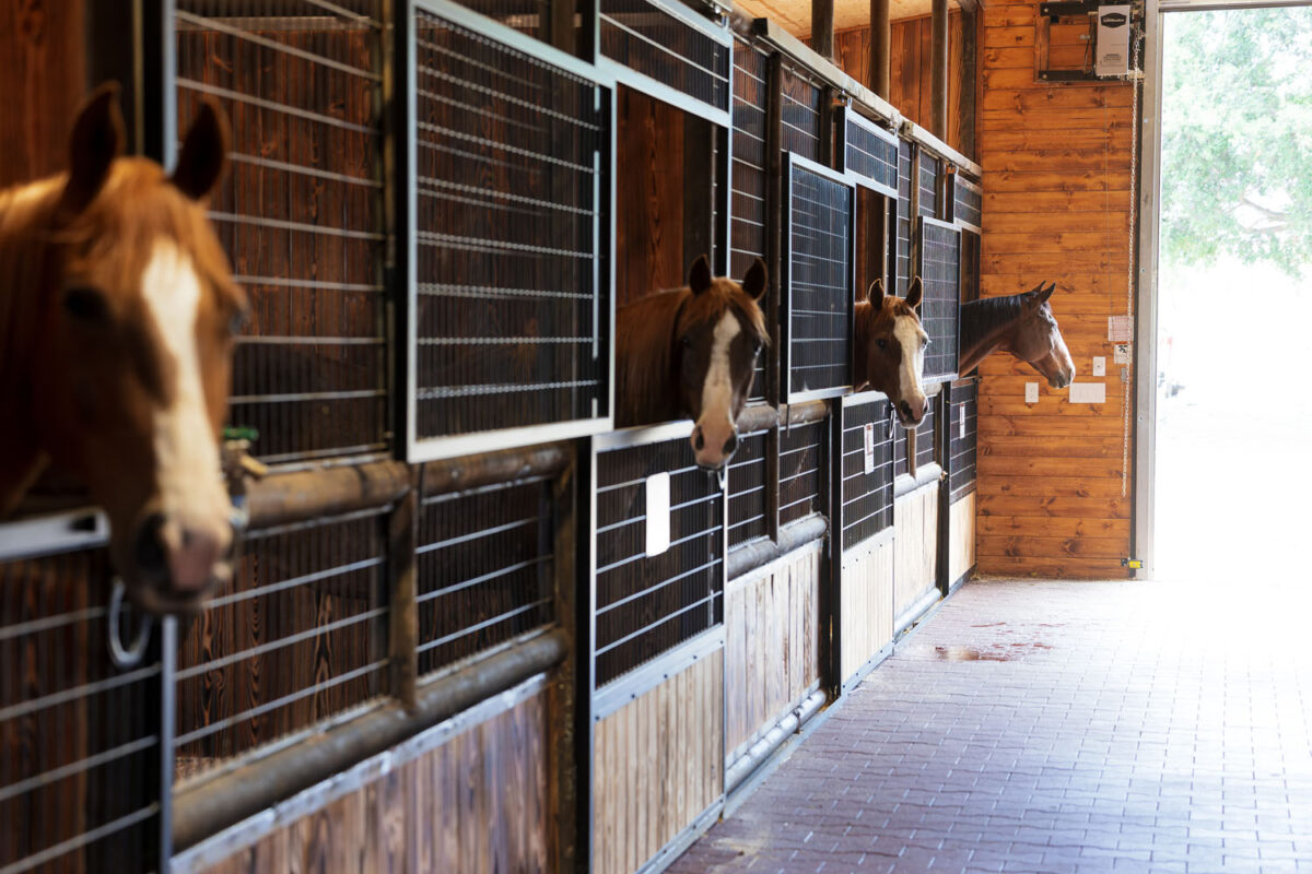 Breeding Facility - Red Arrow Ranch