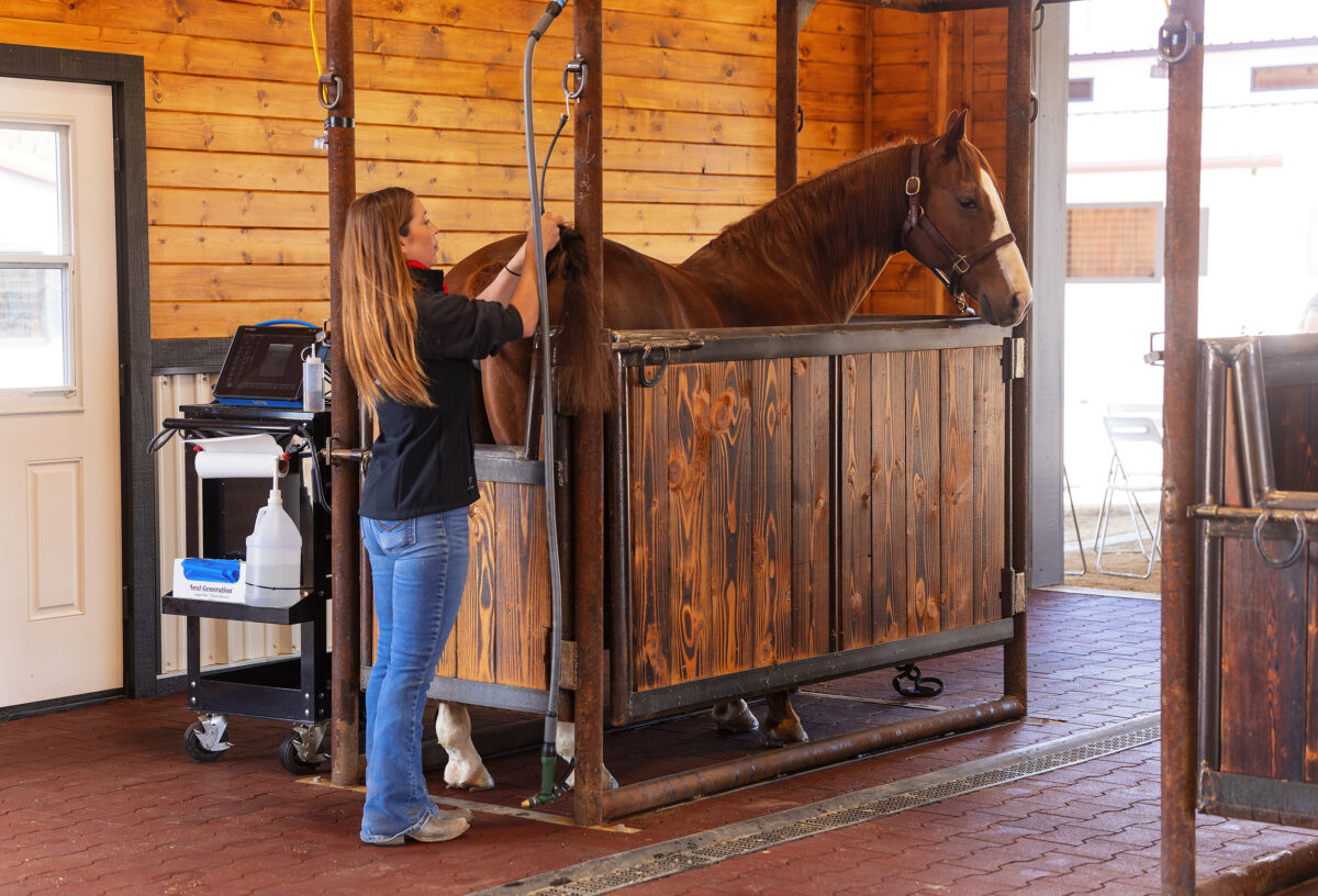Breeding Facility - Red Arrow Ranch